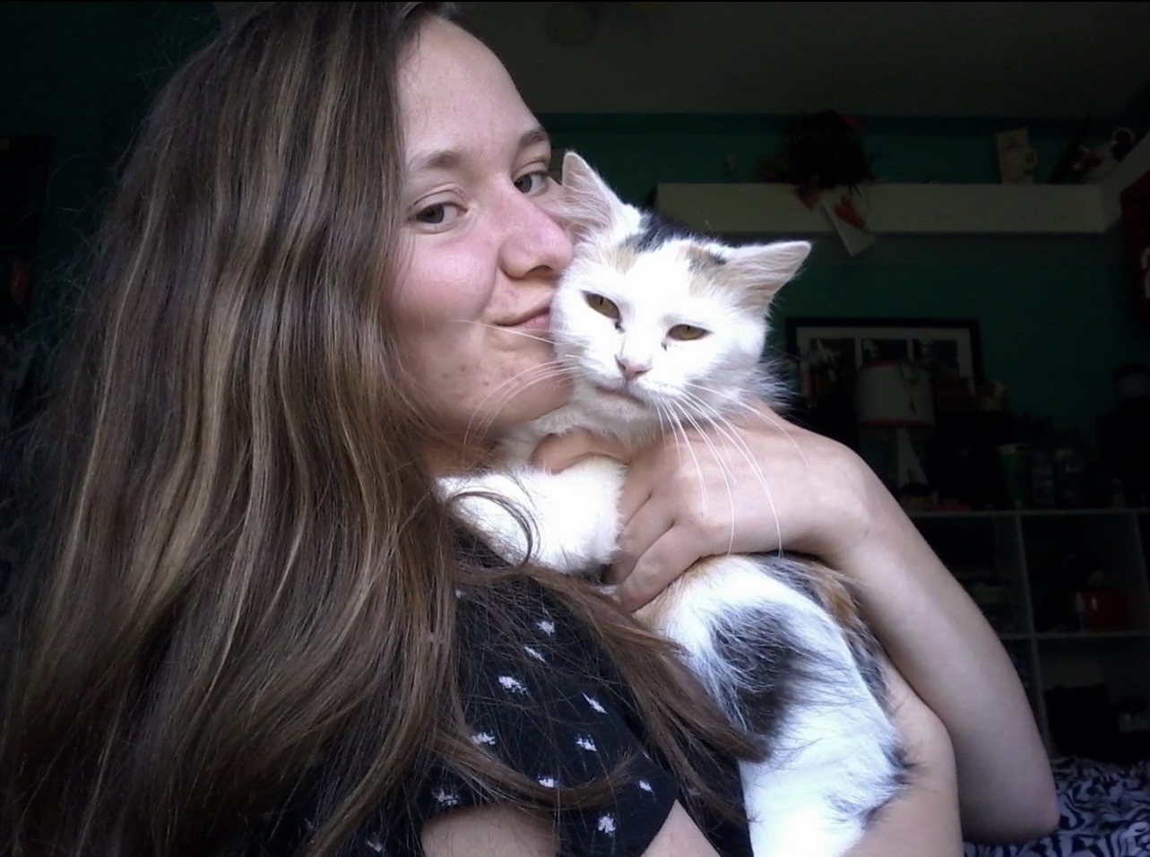 Meet The Clinic Team – HSWC Spay Clinic